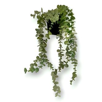 Generic FEJKA Künstliche Topfpflanze, Innen-/Außendekoration, hängender Eukalyptus, 9 cm