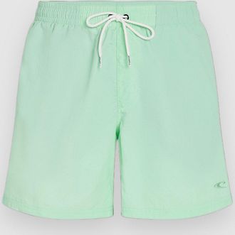 O'Neill Vert 16 Boardshorts mildrew mint