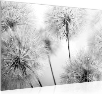 Runa Art Bild Blumen Pusteblumen Modern Wandbilder Wohnzimmer 1 Teilig - Made In Germany - Natur Schwarz Weiss Flur 042015c