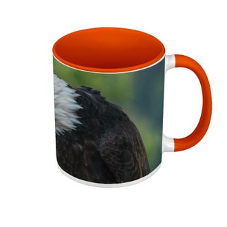 Fabulous Tasse in Premium-Qualität, Orange - Seeadler mit weißem Kopf/Adler/Raubvögeln/Raubvögeln - Tasse mit Henkel und farbigem Innenfutter