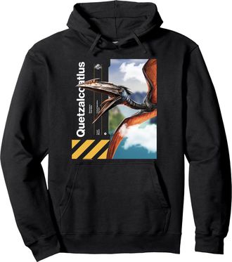 Jurassic Park Rebirth Quetzalcoatlus Covert Mission Pullover Hoodie