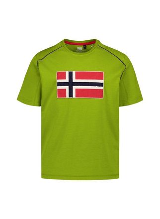 Napapijri Herren T-Shirts gr&uuml;n