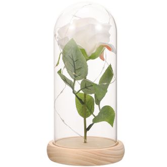 Lurrose Glasschirm mit Konservierter Rose Ewige Blumendekoration in Glaskuppel Romantische Wohn und Geschenkidee f&uuml;r Zuhause und B&uuml;ro