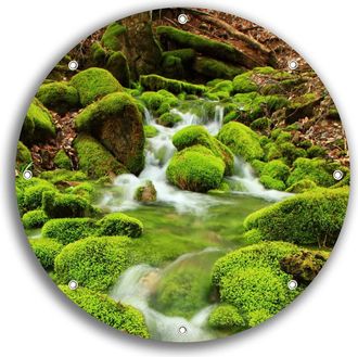 Wallario rundes Outdoor-Poster für Garten oder Balkon Moosiger Bach, Motivbanner 30 cm Durchmesser
