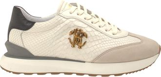 Roberto Cavalli Baskets - Blanc