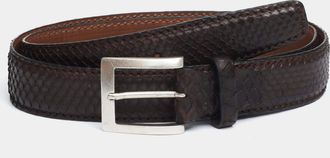 Reptiles House Devin - PythonGürtel - Braun