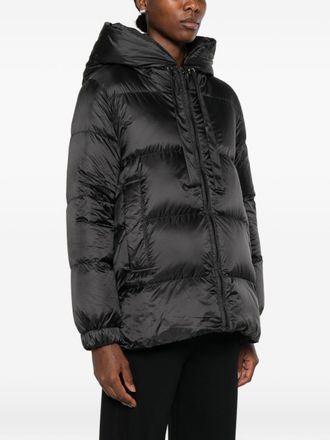 Max Mara Seia Down Jacket - Black