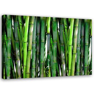 Feeby Vlies Leinwandbild XXL Bambus Asien Spa Japan 120x80 cm Wandbild Kunst Bilder Schlafzimmer Deko Wohnzimmer Bambuswald Welness Orientalisch Kerzen Gr&uuml;n