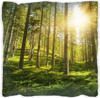 Wallario Dekokissen 60 x 60 cm, Sonnenstrahlen im Nadelwald mit Moos und Farn, beidseitig Bedruckt, Kuschelkissen mit weicher Plüsch-Oberfläche