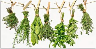 Artland ARTland Wanddeko Wandbild Alu Verbundplatte für Innen & Outdoor Bild 60x30 cm Kräuter Gewürze Pflanzen Lebensmittel Mediterran T3WN