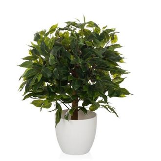 hjh OFFICE Plante Artificielle 65 cm FICUS II Plante décorative Artificielle, figuier de barbarie, Arbre Artificiel Facile à Entretenir