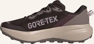 ADIDAS TERREX Adidas Terrex Terrex Tracefinder Plus Gore-Tex Trailrunning-Schuh braun