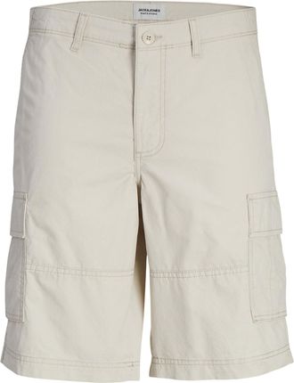 Jack & Jones Shorts JWHZEUS