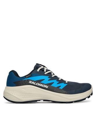 Salomon Laufschuhe Alphaglide Gtx L47975100 Blau