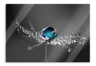 Pixxprint Glasbild, Wandbild aus Echtglas, Wassertropfen auf einer Pusteblume, 60x40 cm, inkl. Aufh&auml;ngung und Abstandshalter
