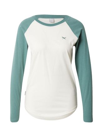 Iriedaily Shirt Flaggy