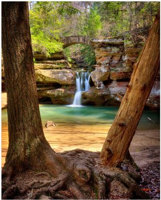 Wallario Poster - Versteckter Platz im Wald in Premiumqualit&auml;t, Gr&ouml;&szlig;e: 40 x 50 cm