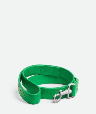 Bottega Veneta Laisse Pour Chien Intrecciato Moyen Format - Bottega Veneta