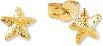 Amor Ohrstecker Stern