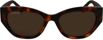 Lacoste Womens Sunglasses L6047S/N - Havana with Lens