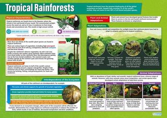 Generic poster The Rainforest Biome Poster - Visual Learning Aid for Biodiversity, Layers and Threats, Large Educational Print for Science Class, Library, Gif