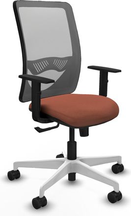 Piqueras y Crespo Computer-Rollstuhl Zulema mit 1D-Armen, h&ouml;henverstellbare Lendenwirbelst&uuml;tze, ausgestattet mit 3 Positionen und Schneideschaum, Grau/Braun