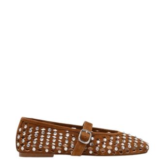 Steve Madden Femme, Chaussures, Brun, Taille: 40 EU Rerun Flat