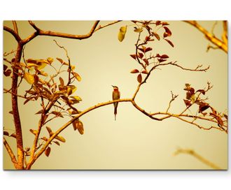 Paul Sinus Art Leinwandbilder | Bilder Leinwand 120x80cm Vogel auf einem Ast bei Sonnenuntergang