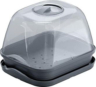 Prosperplast Mehrzweck-Saatbett/Tablett mit Polycarbonatdeckel RESPANA TABLE GREENHOUSE, Abmessungen (mm) 257x196x185, Farbe Anthrazit