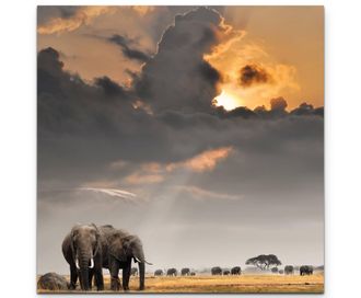 Paul Sinus Art Leinwandbilder | Bilder Leinwand 60x60cm afrikanischer Sonnenuntergang mit Elefanten