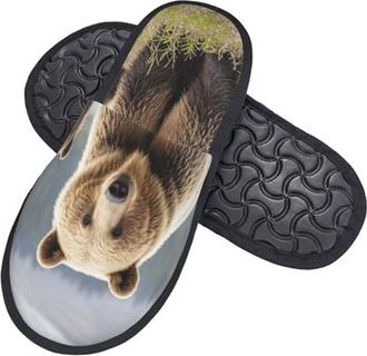 Generic Pantoufles Unisexes Mère Ourse Et Ses Petits Chaussons Automne Hiver Adultes Chaude Pantoufles, Pour Fête, Mariage, Hommes, L