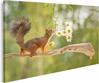 Islandburner Bild auf Leinwand süßes Eichhörnchen auf AST mit Blumen Wandbild Poster Kunstdruck Bilder