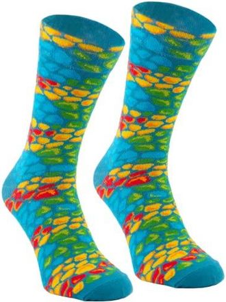 Rainbow Socks Unisexe Femme Homme Chaussettes À Motifs Animaux - Chaussettes Pour Femmes Et Hommes - Safari Et Jungle - 1 Paire - CAMÉLÉON - 36-40