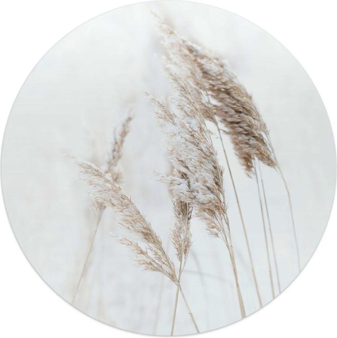 Reinders Glasbild, Afrikanische Frau, Wohnzimmer, Poster, Wanddeko ...