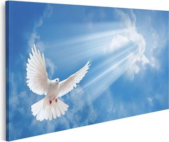 Islandburner Bild auf Leinwand In Der Luft Mit Flügeln Weit Offen In Vorderseite Der Sonne Taube Wandbild Poster Kunstdruck Bilder