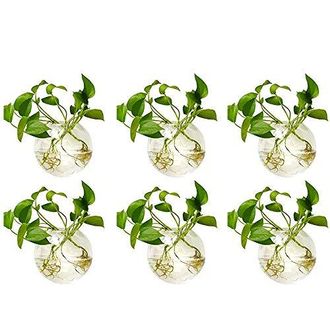 Nuptio 6 Pièces Jardinières en Verre à Suspendre 10cm de Diamètre en Verre Rond Pot - Eau Planter des Vases Air Fleur Vase Plante Terrariums Conteneur de Pla