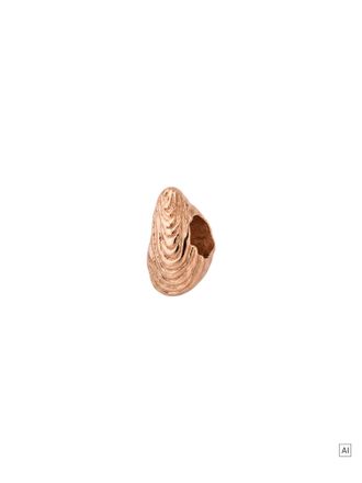 Purelei LEI Island Shell Charm