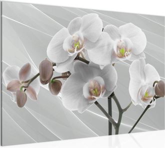 Runa Art Bild Blumen Orchidee Modern Wandbilder Wohnzimmer 1 Teilig - Made In Germany - Abstrakt Grau Rosa Flur 203015c