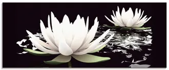 Artland ARTland Wanddeko Glasbilder Wandbild Glas Bild einteilig 125x50 cm Querformat Asien Botanik Blumen Blüten Lotusblume Seerose Modern Schwarz Weiß T9NL