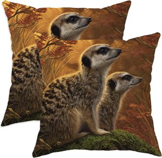 Generic Zierkissenbezüge mit Erdmännchen-Motiv, Motiv: Wildtiere, gemütliches Bauernhaus-Dekor für Sofa, Bett, Couch, 40,6 x 40,6 cm, 2 Stück