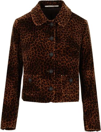 Tagliatore Idelle Blazer - - Jackets - Damen - Braun - M