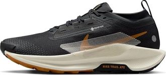 Nike Homme Pegasus Trail 5 Gore-TEX Sneaker, Noir (Off Black Pale Ivory Black Monarch), 43 EU