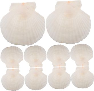 Garneck 21 Stück DIY Teiliges Set Muscheln für Bastelarbeiten Dekoration für Strand Mottopartys Aquarien Hochzeiten Heimdeko Vielseitige Meeresverzierungen