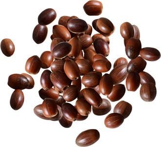 Perfeclan NC 100Pcs Nat&uuml;rliche Eicheln Bulk Echte Eicheln Kappen Dekorative Vase F&uuml;llstoffe Home Party Kranz DIY Thanksgiving Weihnachten K&uuml;che Foto Requisiten 