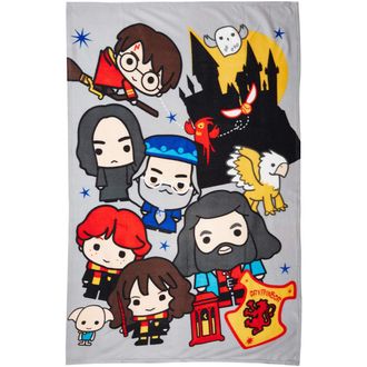 Harry Potter 150 cm x 100 cm TC595