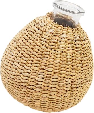 Valiclud Wunderschöne Dekorative Glasvase mit Feiner Rattan webung Kompakte Künstlerisches Design Vielseitiger Pflanzentopf für Wohn Bürodekoration