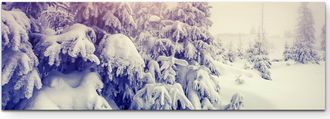 Paul Sinus Art Leinwandbilder | Bilder Leinwand 120x40cm Schneebedeckte B&auml;ume in einer Winterlandschaft
