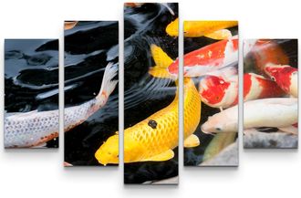 Paul Sinus Art Leinwandbilder | Bilder Leinwand 160x100cm Koi Fische im Teich