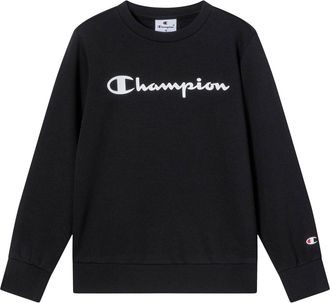 Champion Sweatshirt