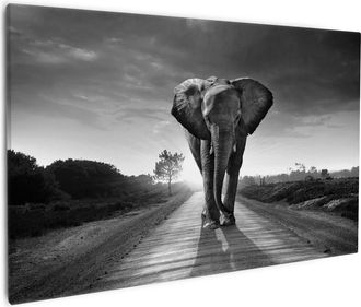 Wallario Leinwandbild Elefant bei Sonnenaufgang in Afrika schwarzweiß - Wandbild 60 x 90 cm: Kunstdruck | Brillante lichtechte Farben | hochauflösend | verzugs